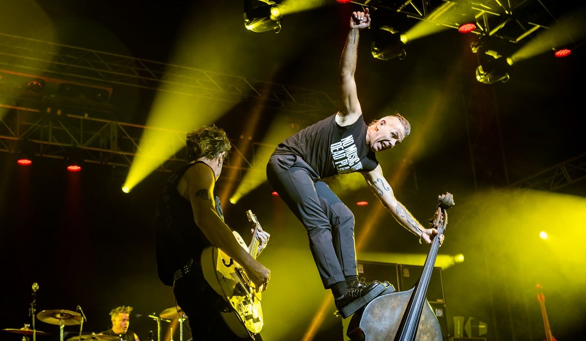 Missed Out On Bluesfest? Relive All The Best Moments | Breaking News ...