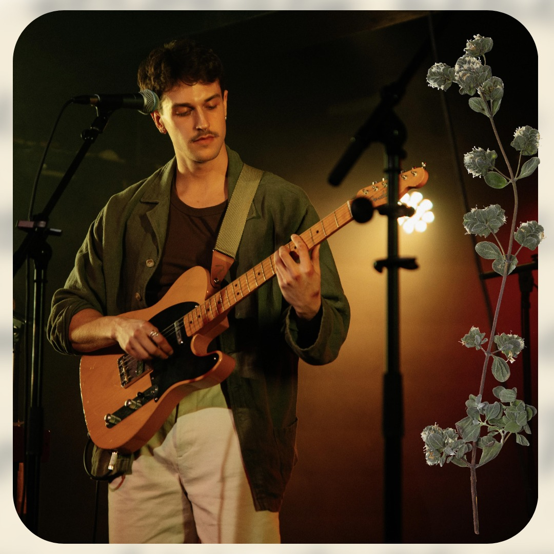 ITHG | Strings & Stories